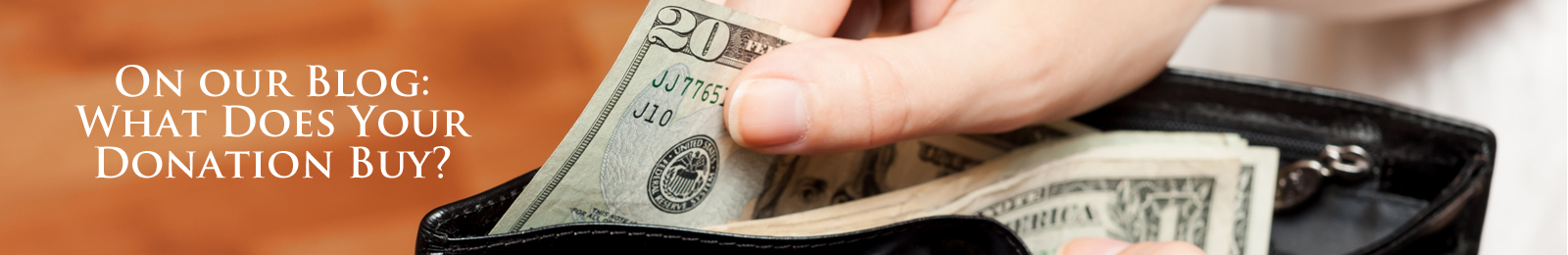 What Does Your Donation Buy? – Mountain Hope Good Shepherd Clinic